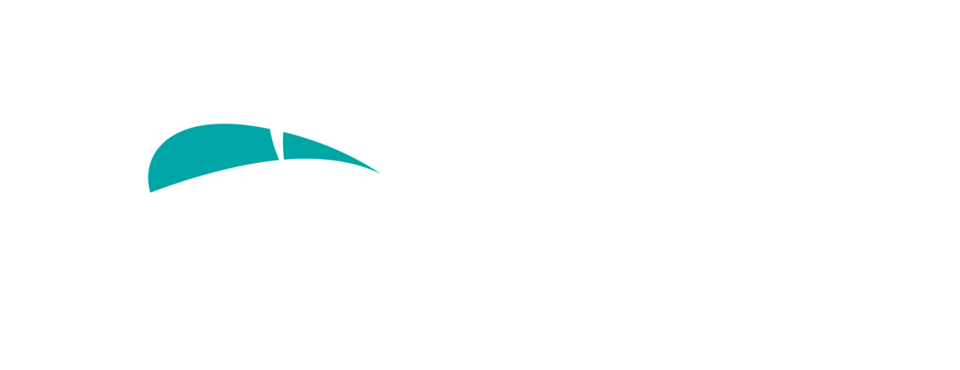 Services, Partners, and Support | Pega